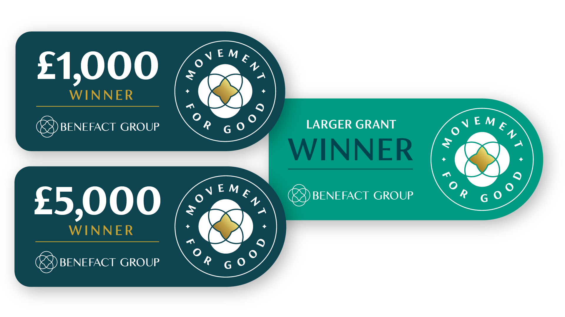 Congratulations on being a Movement for Good Awards winner!